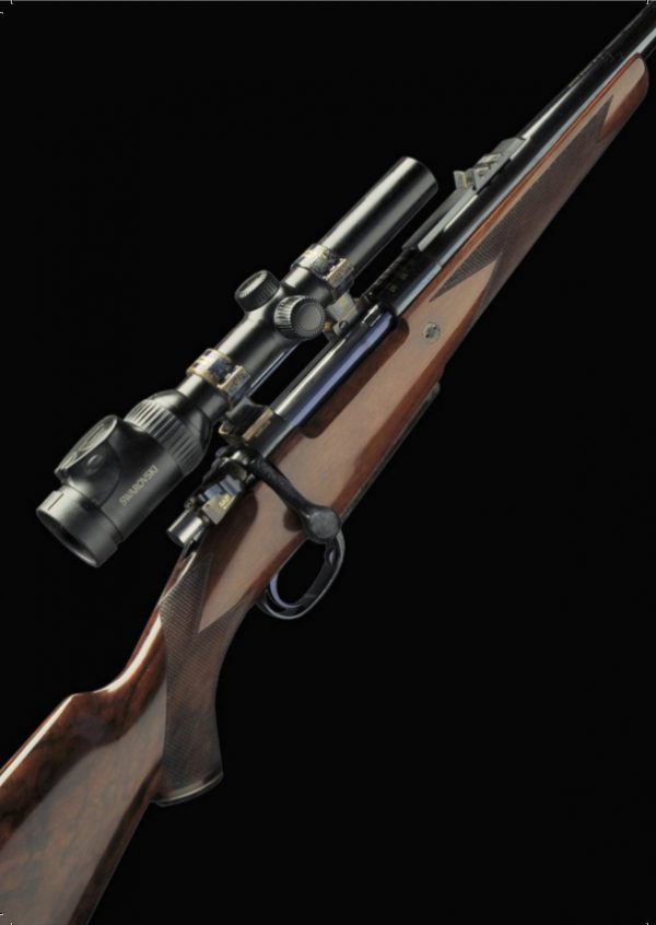 Rigby Rifles, The Legend Returns Home - Revivaler