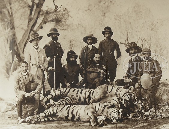 A Four Bore Rifle or Four - Revivaler