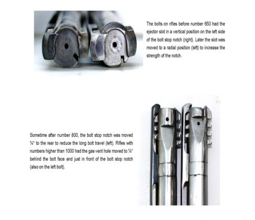 Newton Rifle in .256 Newton - Revivaler