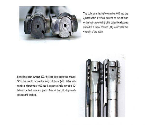 Newton Rifle in .256 Newton - Revivaler