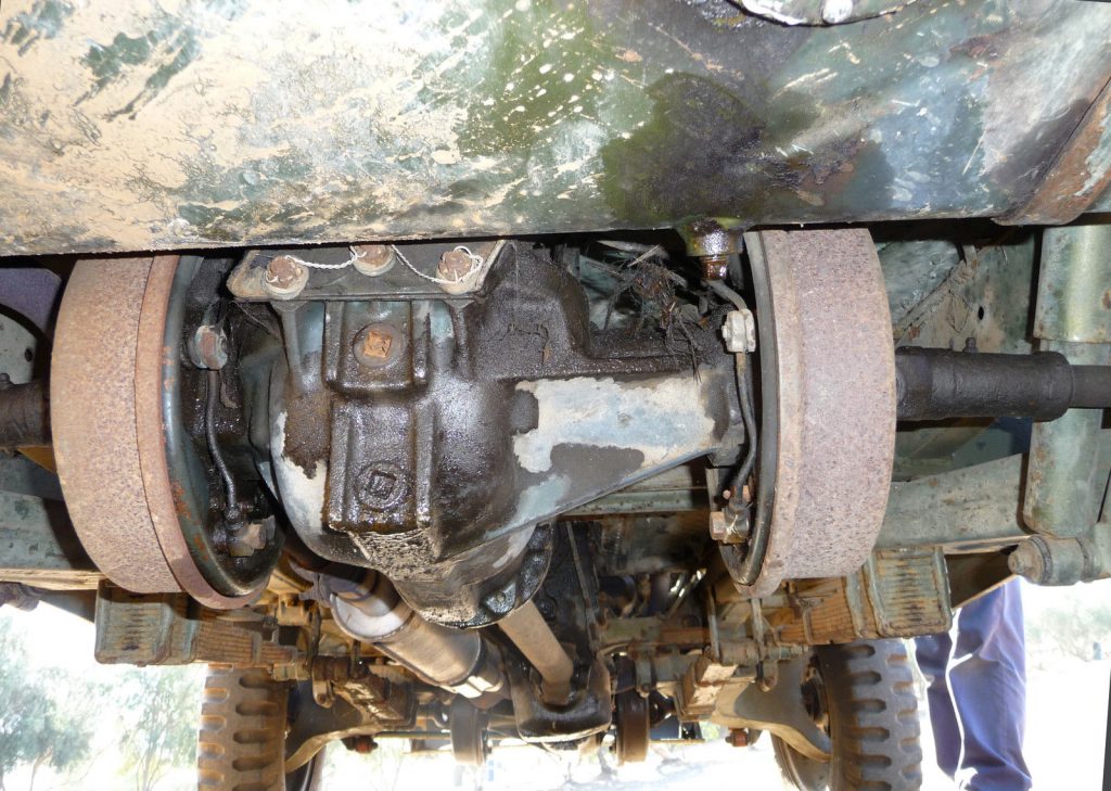 AMC Mighty Mite - Revivaler