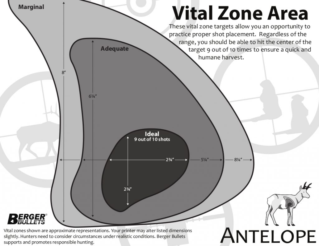 Free Vital Zone Targets from Berger Bullets - Revivaler