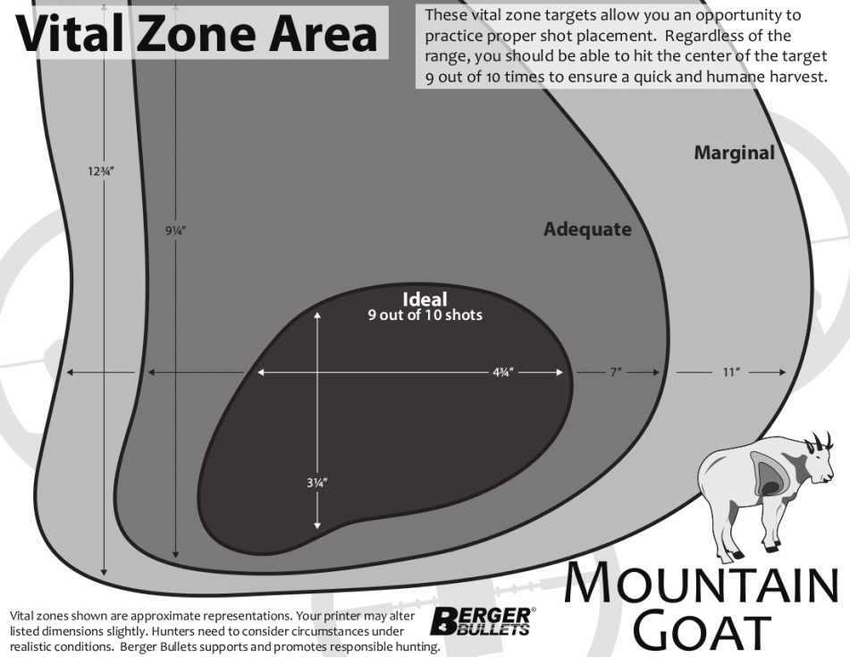 Free Vital Zone Targets from Berger Bullets - Revivaler