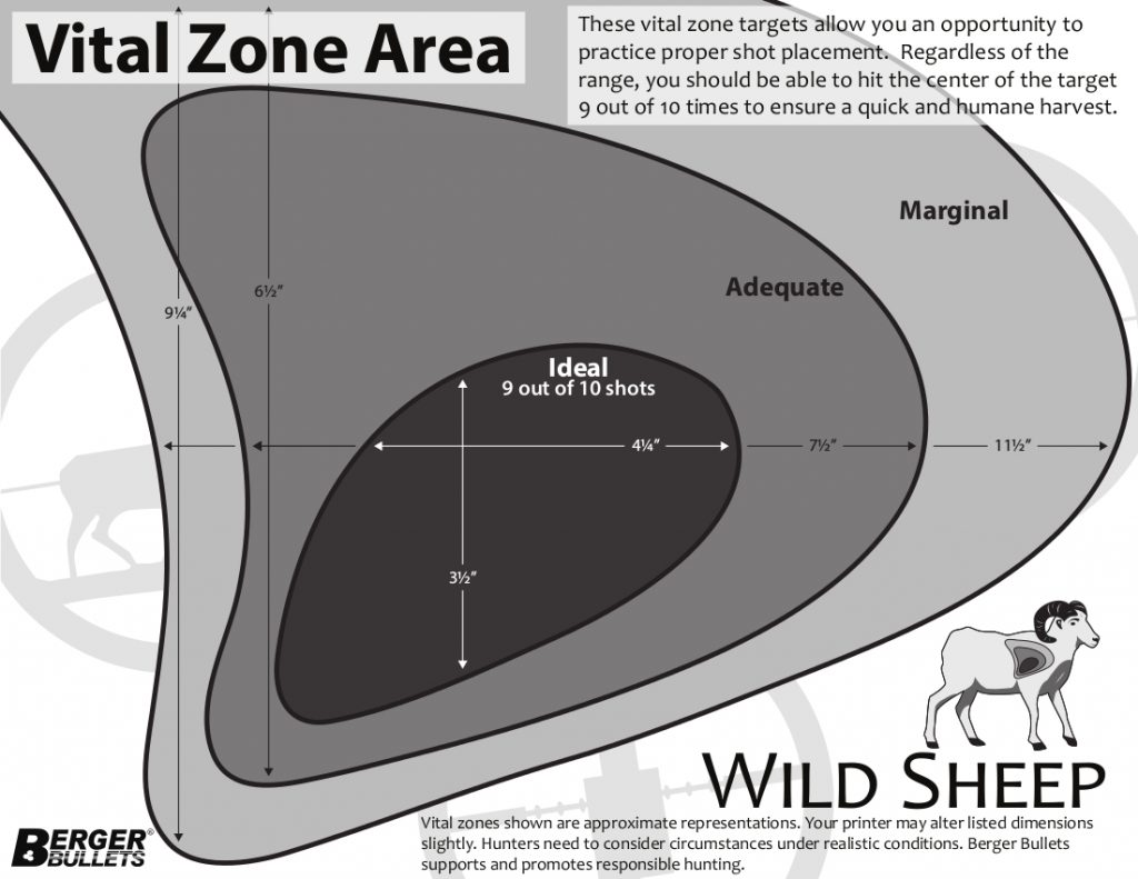 Free Vital Zone Targets from Berger Bullets - Revivaler