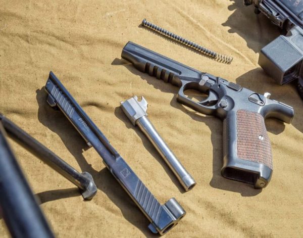 Lebedev PL-15 - Revivaler