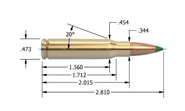 The .308 Winchester - Revivaler