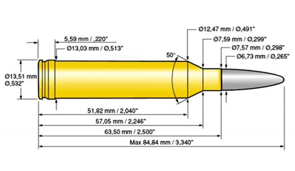 The .264 Winchester Magnum - Revivaler