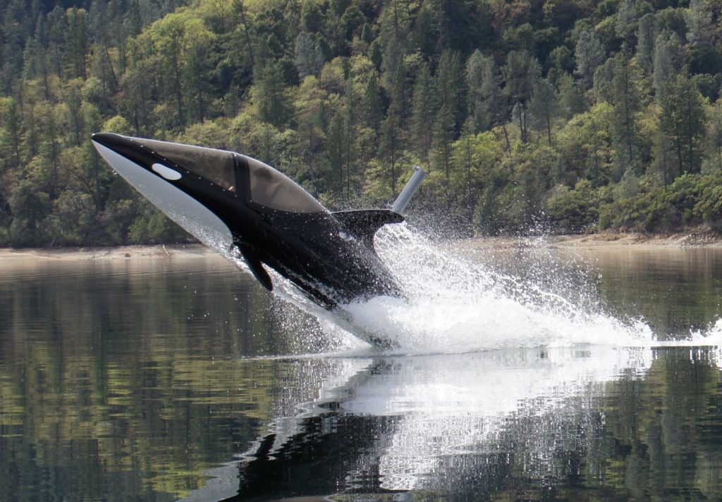 Seabreacher - Ultimate Diving Machine - Revivaler