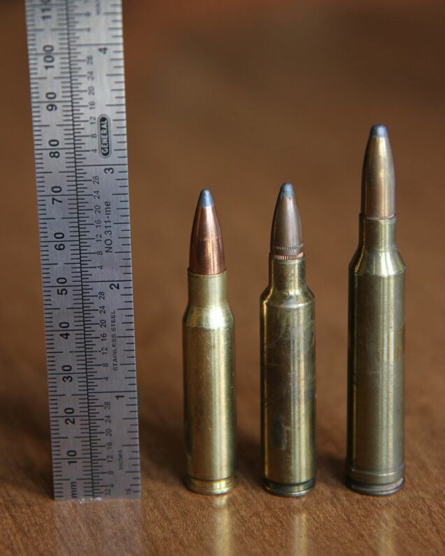 The 284 Winchester and 6.5-284 Norma - Revivaler