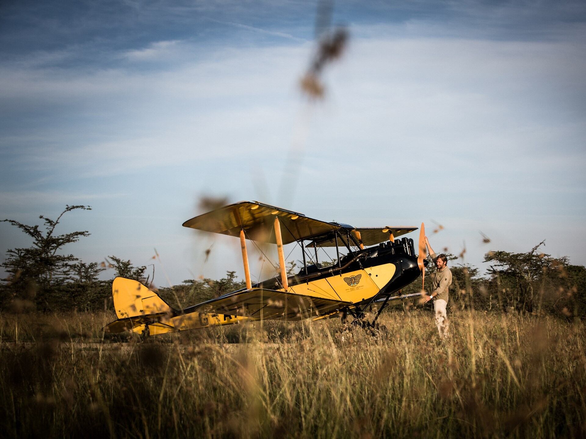 De Havilland DH60GM Gipsy Moth "Out of Africa" for Sale - Revivaler