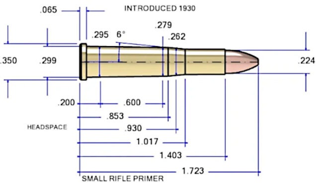 The 22 Hornet - Revivaler