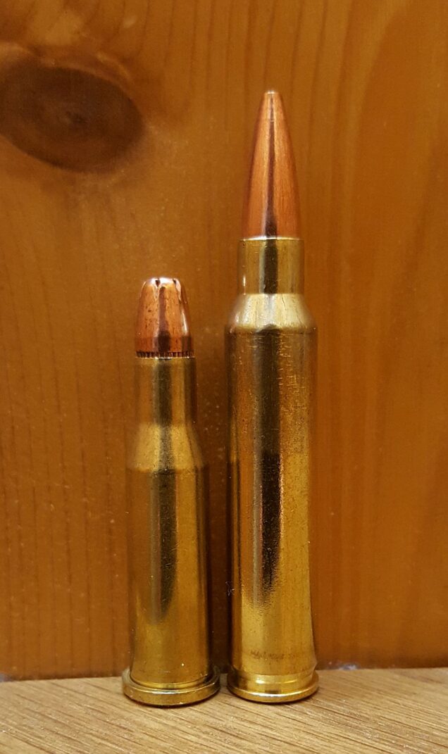 The 218 Bee - Revivaler